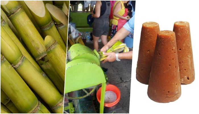 Elaboración de panela o piloncillo, Guía paso a paso - Agroproyectos