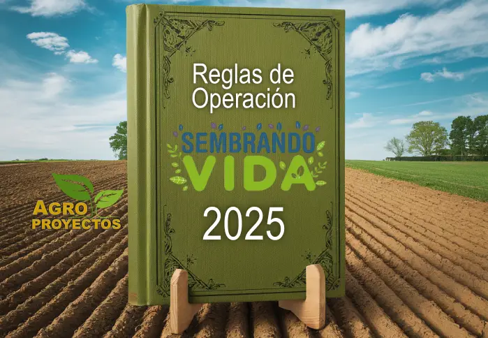 Sembrando Vida 2025, Reglas de Operación - Agroproyectos