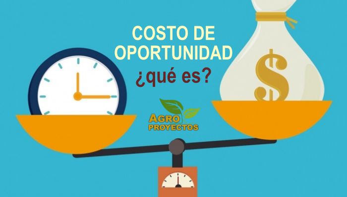 ¿Qué es el costo de oportunidad? - Agroproyectos