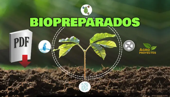 Manejo De Plagas En La Agricultura Sostenible El Control De Plagas Y